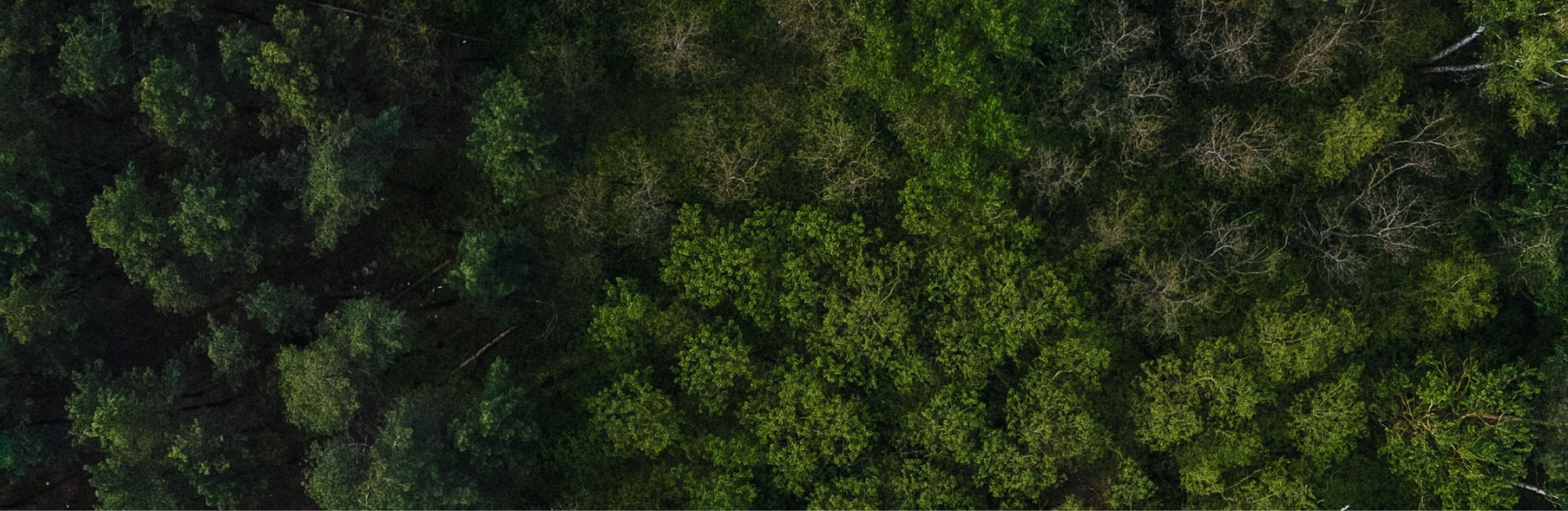 SEBI Update – Consultation Paper on Proposal to Increase the Size ...